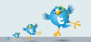 Twitter Bird Illustrations - Vector Characters