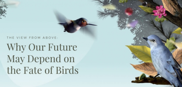 The Most Popular Graphic Design Trends for 2020